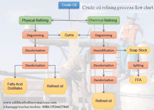 √ CPO (Crude Palm Oil): Definisi, Fungsi, dan Tahapan Produksi