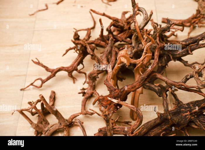 √ Mengenal Kayu Rasamala dan Keunggulannya Kajian Mendalam dan Aplikasinya